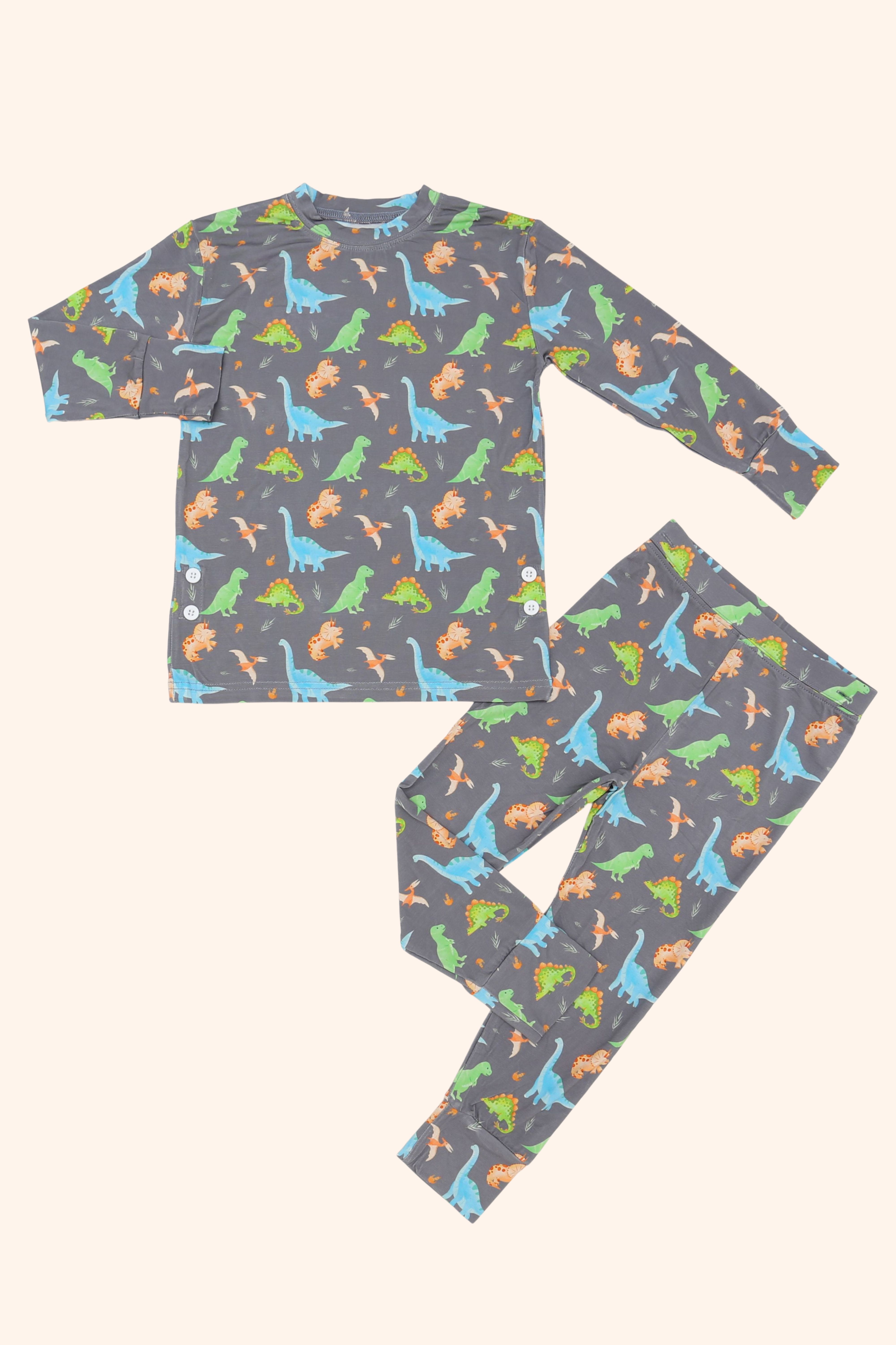 Watercolour Dinosaurs Bamboo Long Sleeve 2 Piece Set